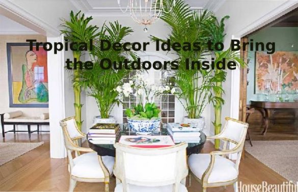 Tropical Decor Makes Your Home Look Beautiful
